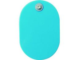 TRUSCO クリップ付小判札 大 無地 60×40mm 5枚入 空色 1496215が625円【ココデカウ】