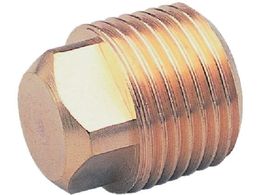 ASOH 四角プラグ PT1／2(RoHS) NP-1004R 1953859が493円 通販【ココデカウ（エディオングループ）】