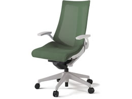 イトーキ アクトチェア メッシュハイ 本体灰樹脂脚 固定肘グリーン KG-475JV-GNQ2が98,387円【ココデカウ】
